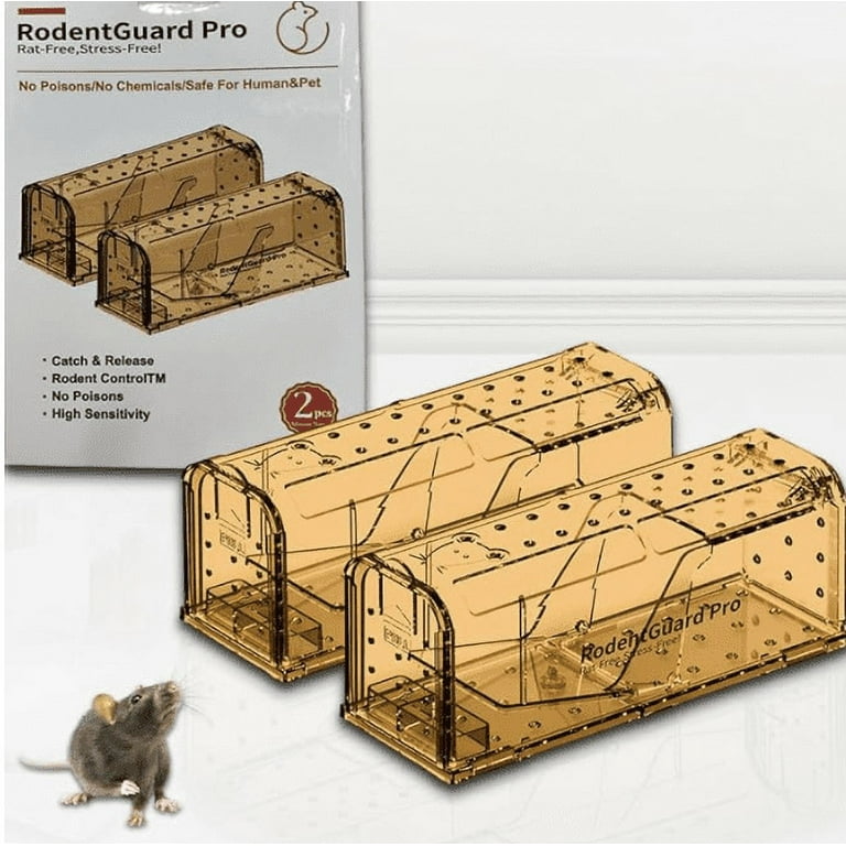 Humane Mouse Traps Walmart The Better Gluetrap™ Cold Temperature