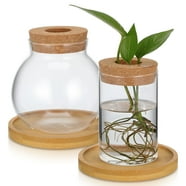 Mkono Plant Propagation Vase Set Glass Vases for Live Plant Flowers ...