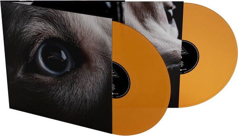 Roger Waters - The Dark Side Of The Moon Redux - Limited Orange Vinyl ...