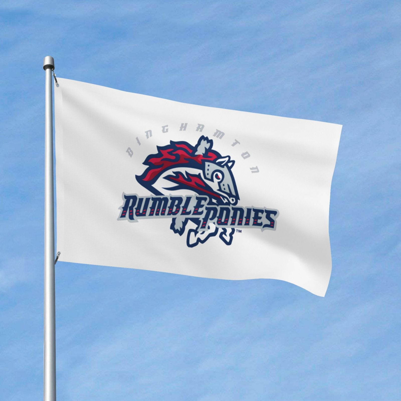 Roger Williams University Logo Flag 3x5 Ft Holiday Banner Garden Yard ...