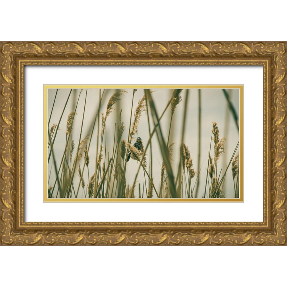 Rogers, Eunika 18x12 Gold Ornate Wood Framed with Double Matting Museum ...