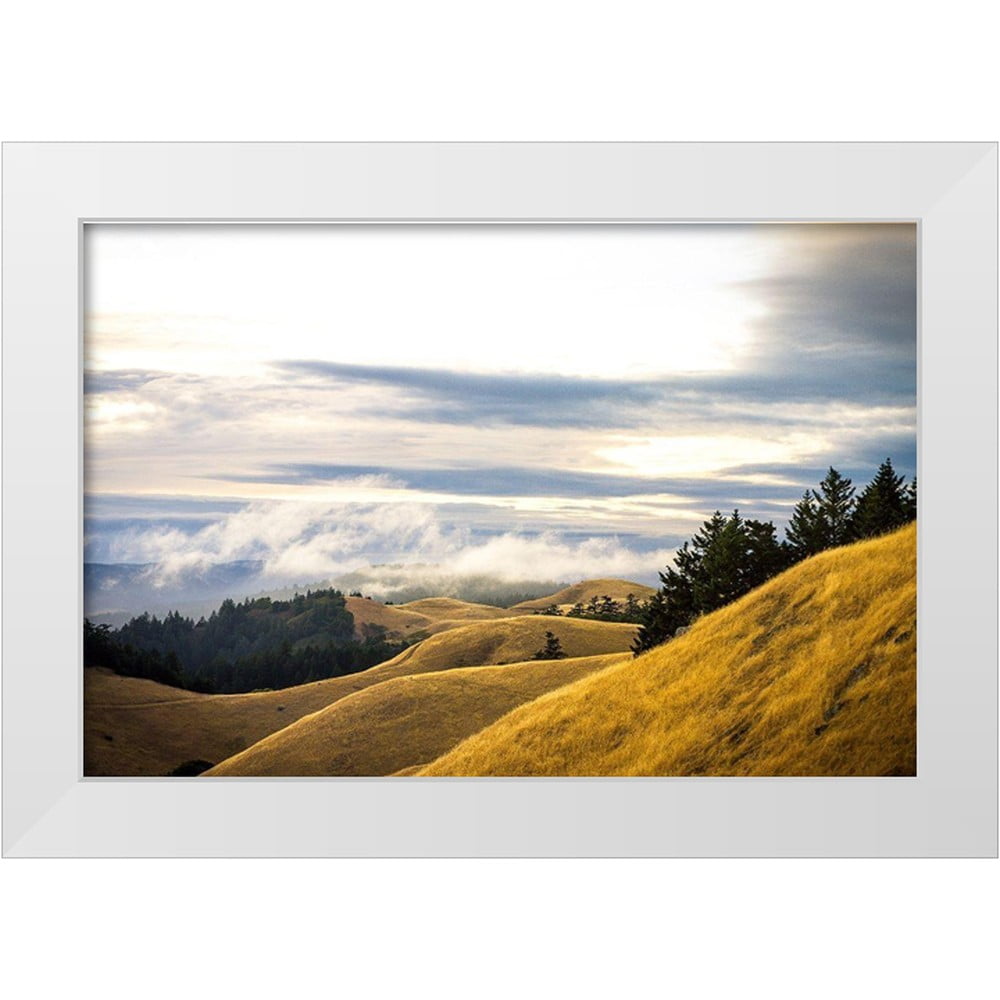 Rogers, Eunika 24x17 White Modern Wood Framed Museum Art Print Titled ...
