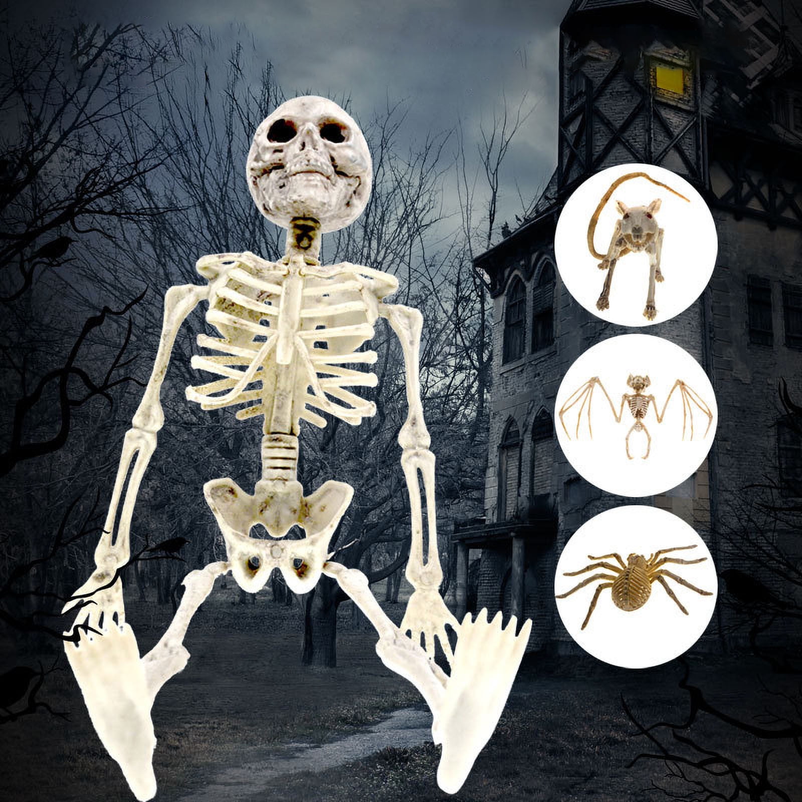 Rojia Halloween Skeleton Decoration, Animals Skeleton, Human Skeleton ...