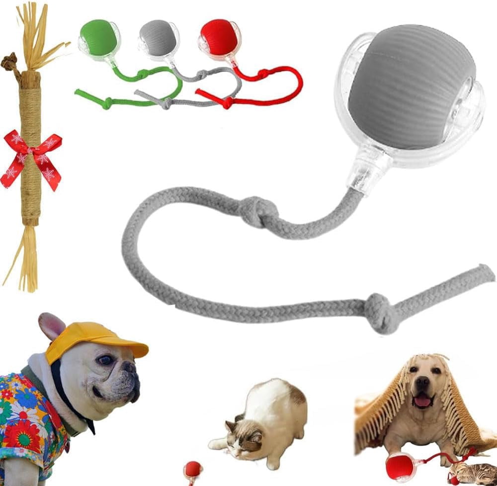 Rolie Pets, Rolie Pet Toyheicos Interactive Dog Ball, Smart Interactive ...