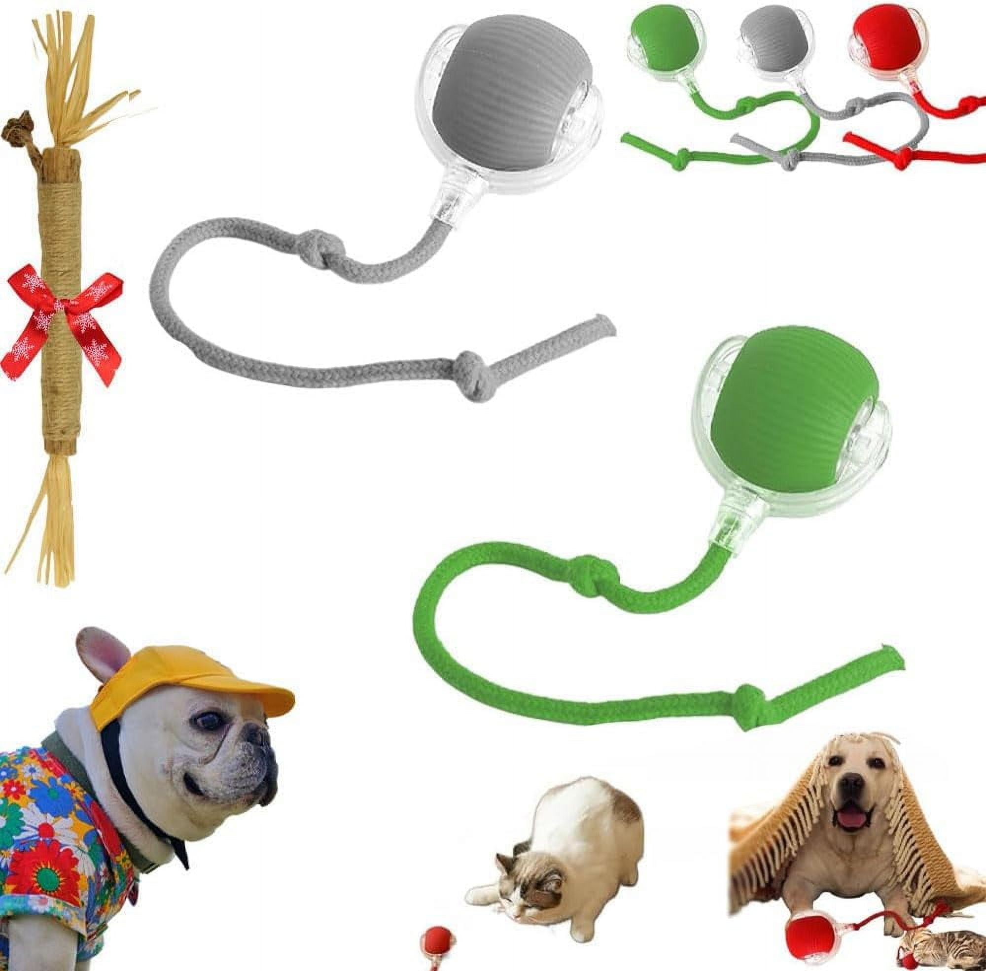 Rolie Pets, Rolie Pet Toyheicos Interactive Dog Ball, Smart Interactive ...