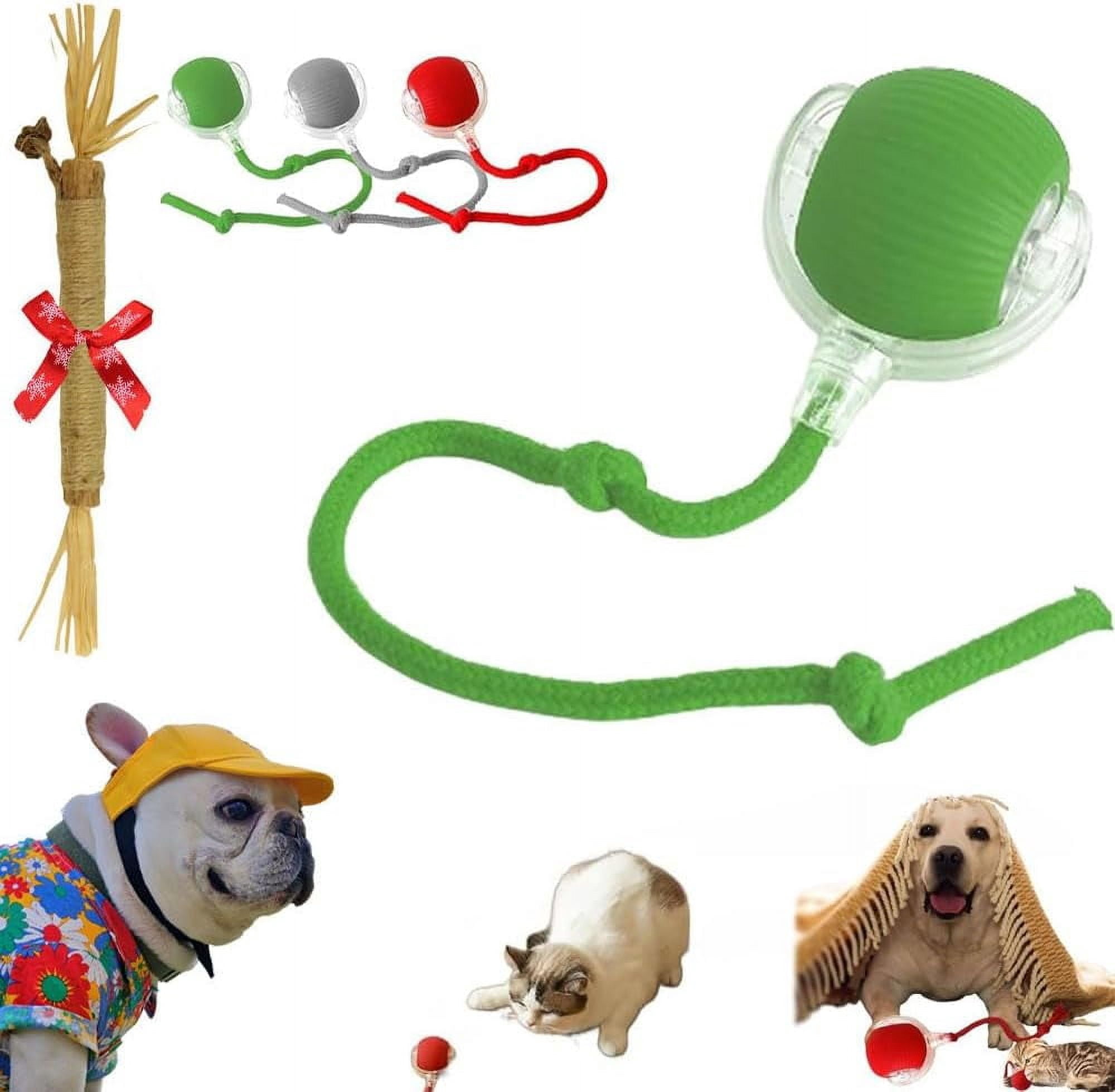 Rolie Pets, Rolie Pet Toyheicos Interactive Dog Ball, Smart Interactive ...