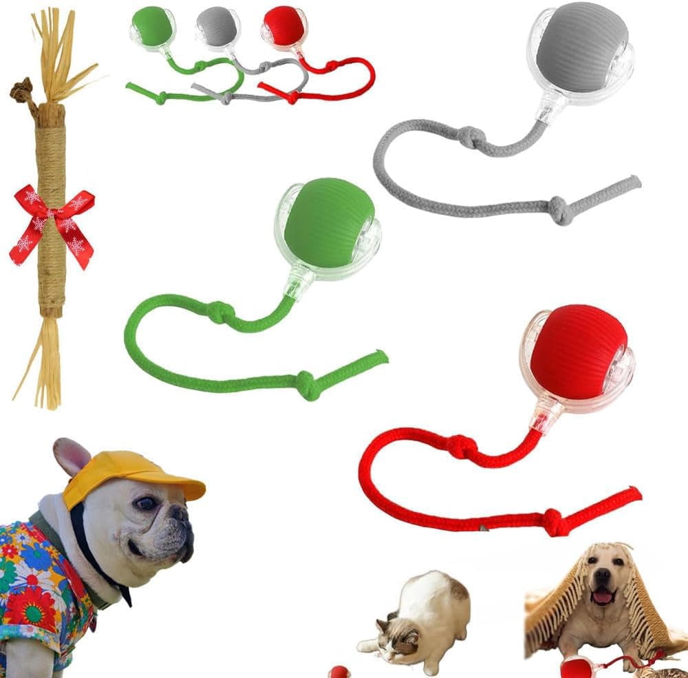 Rolie Pets, Rolie Pet Toyheicos Interactive Dog Ball, Smart Interactive ...