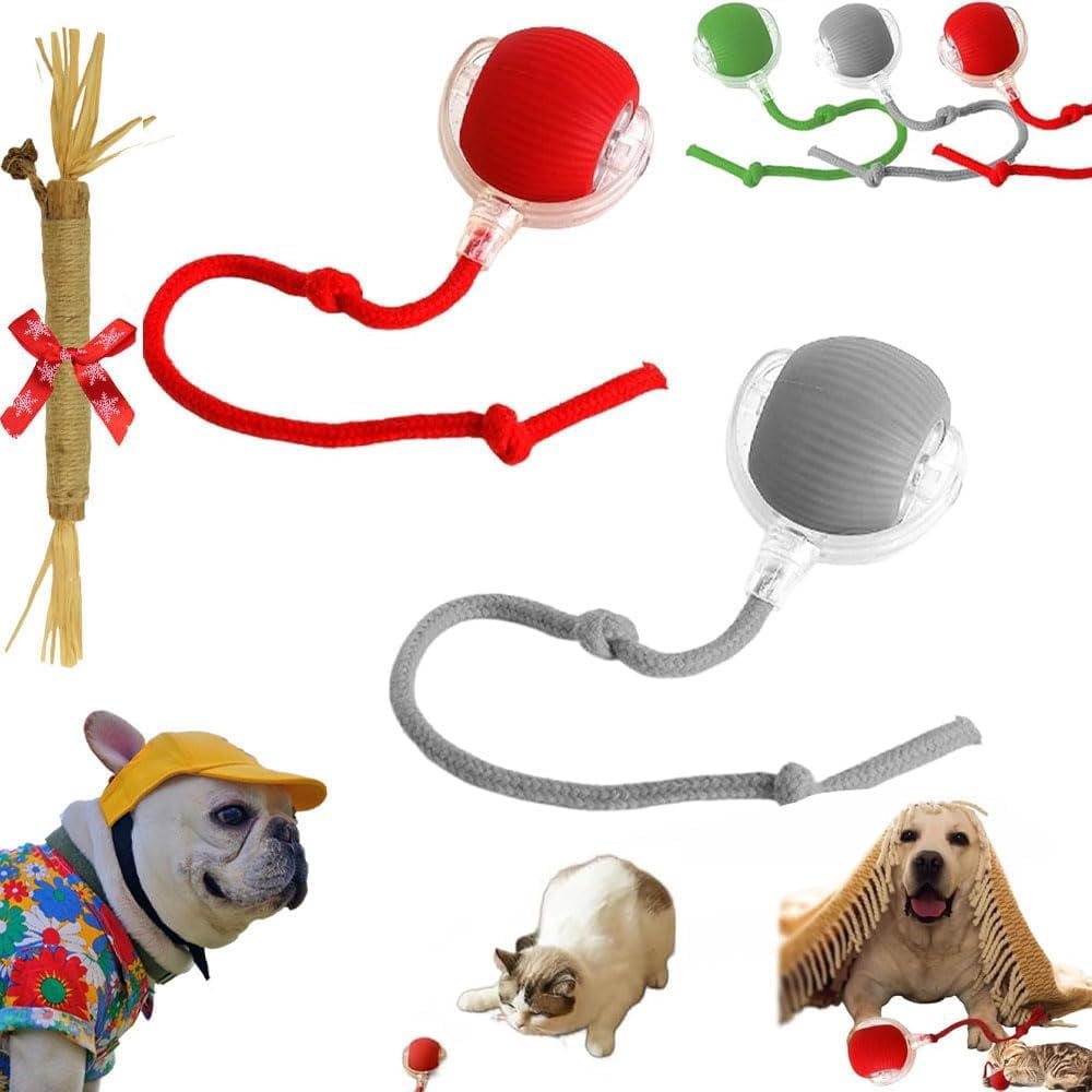 Rolie Pets, Rolie Pet Toyheicos Interactive Dog Ball, Smart Interactive ...