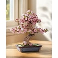 Rolife 3D Puzzle Sakura Bonsai, Wooden Model Kits for Adults, Creative ...