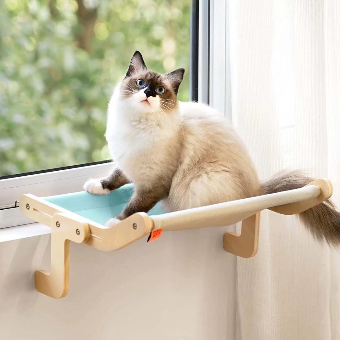 Rolife Cat Window Perch, Foldable Kitten Sill, Medium-Sized Bed and ...