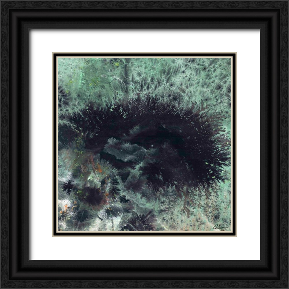 Roll, Dlynn 12x12 Black Ornate Wood Framed with Double Matting Museum ...