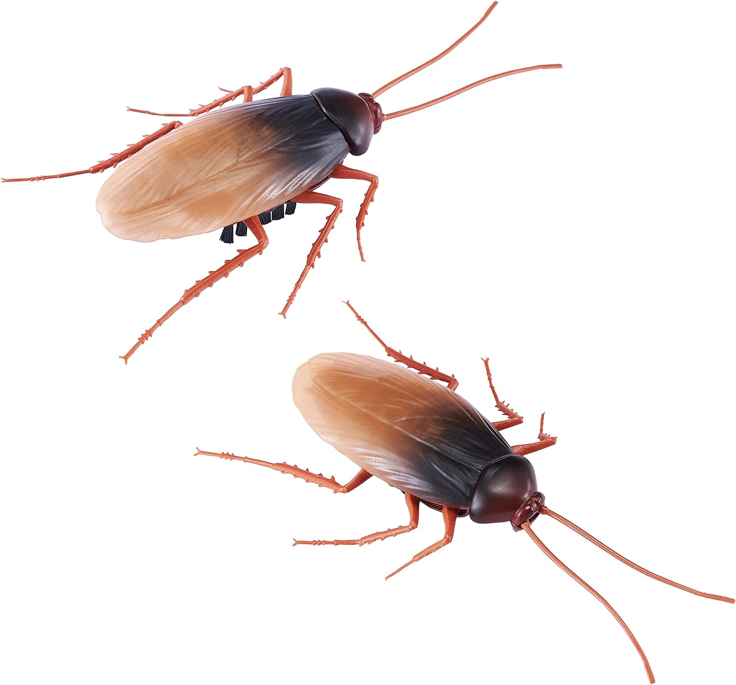 Zuru 38506 ROBO Alive Crawling Cockroach Series 2, Assorted Designs and ...