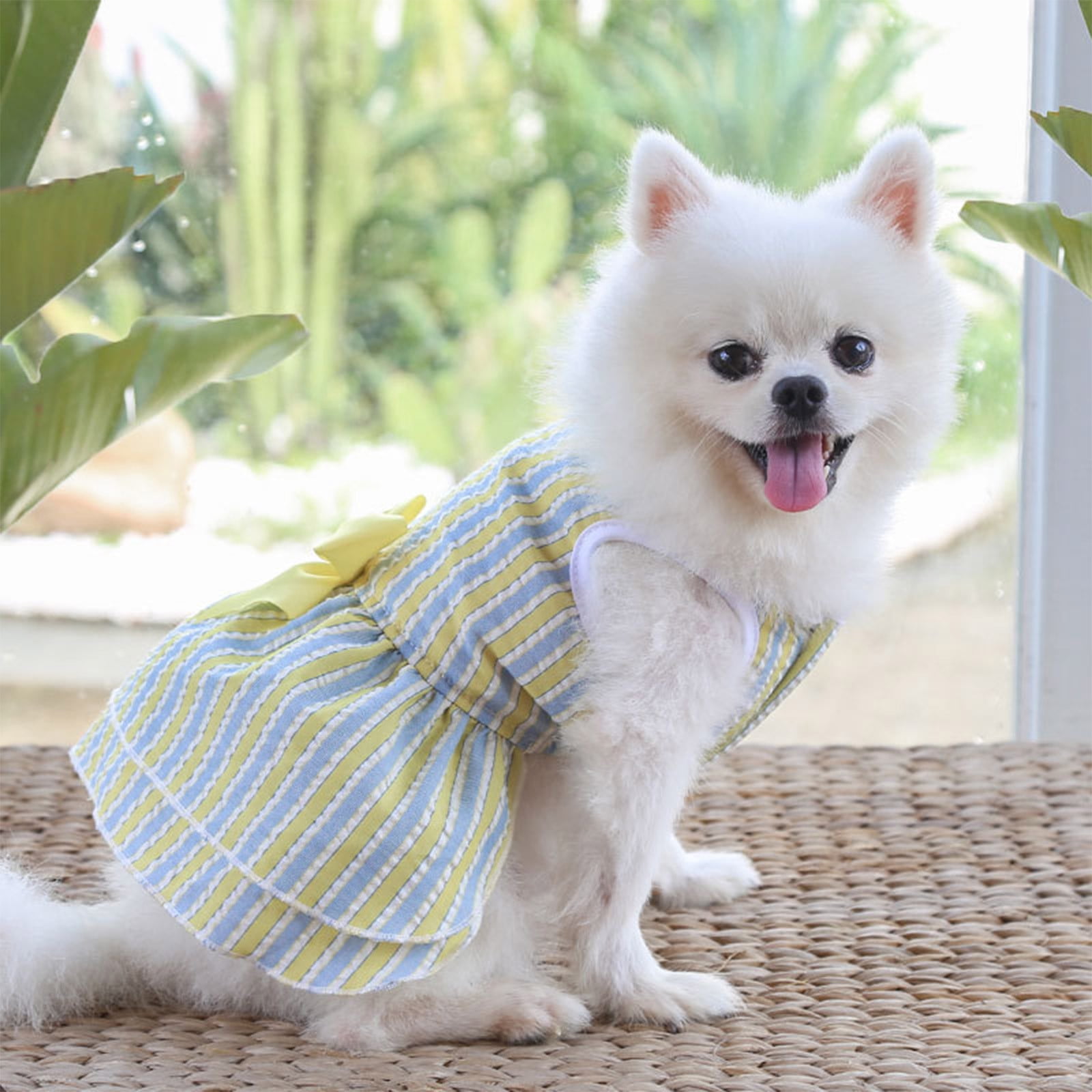 Fashionable Pet Attire for Small to Medium Pets, Trendy Dresses and ...