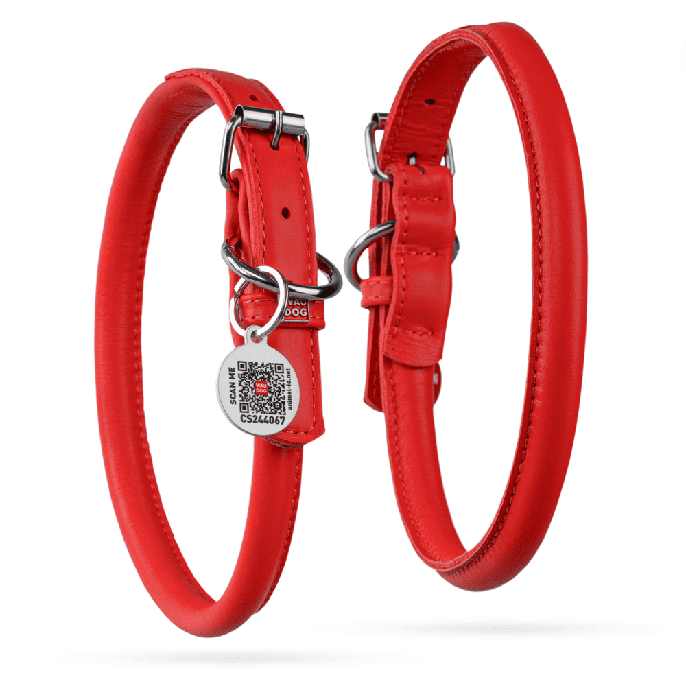 Rolled Leather Dog Collar | Soft Padded & Adjustable Round Rope Puppy ...