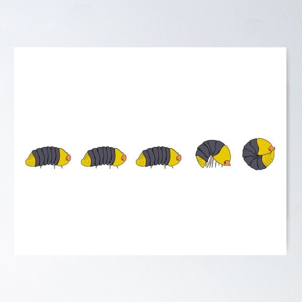 Rollie Pollie - The Rubber Ducky Poster Wall Art, Modern Wall Decor For ...