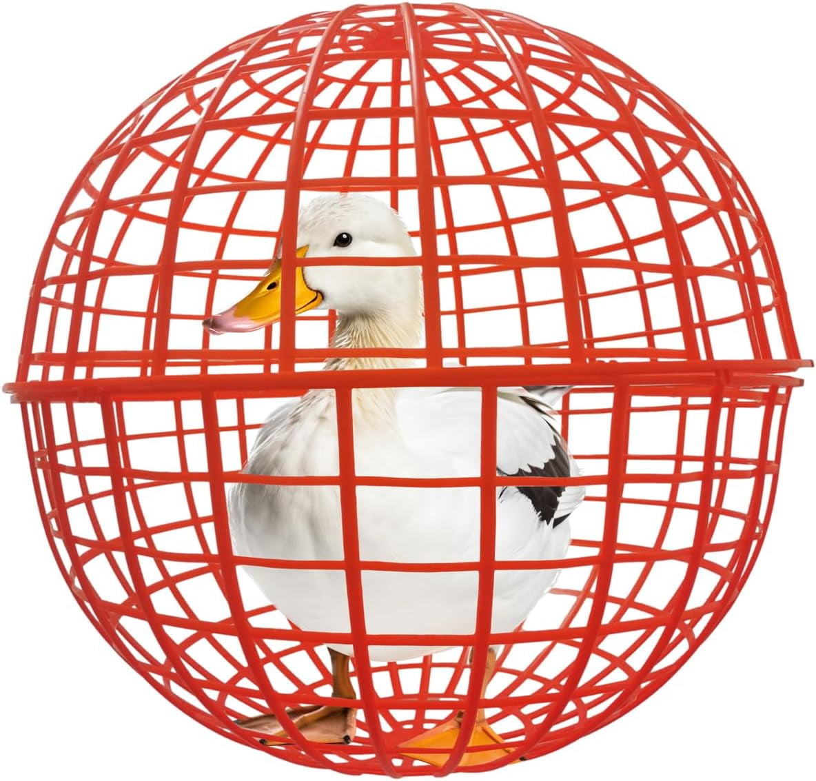 Rolling Chicken Coop Ball Portable Poultry Run Cage for Chickens Ducks ...