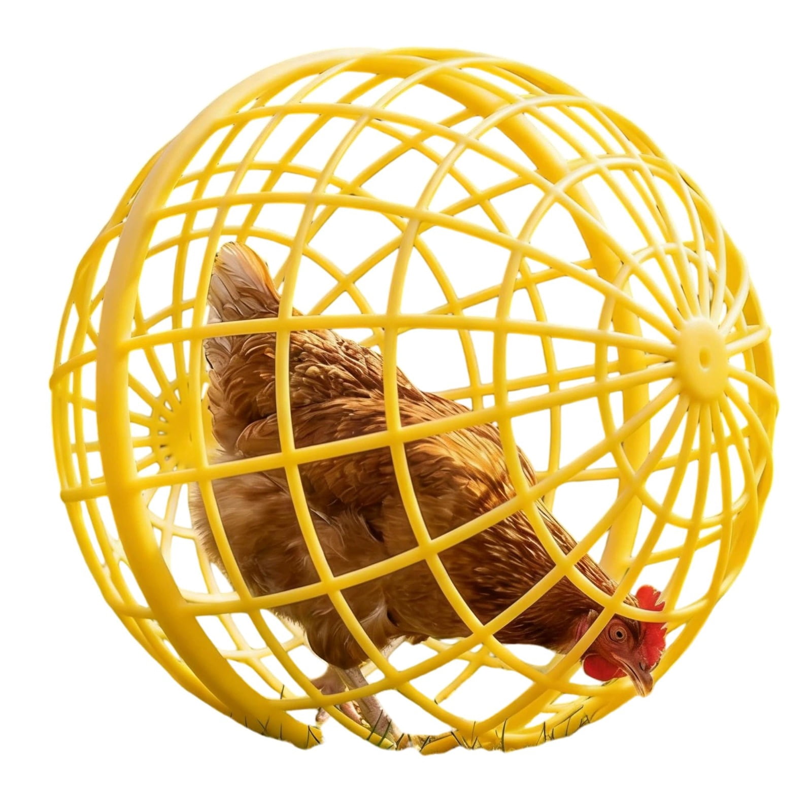 Rolling Chicken Coop Balls Cage, Plastic, Predator Proof, for Outdoor ...