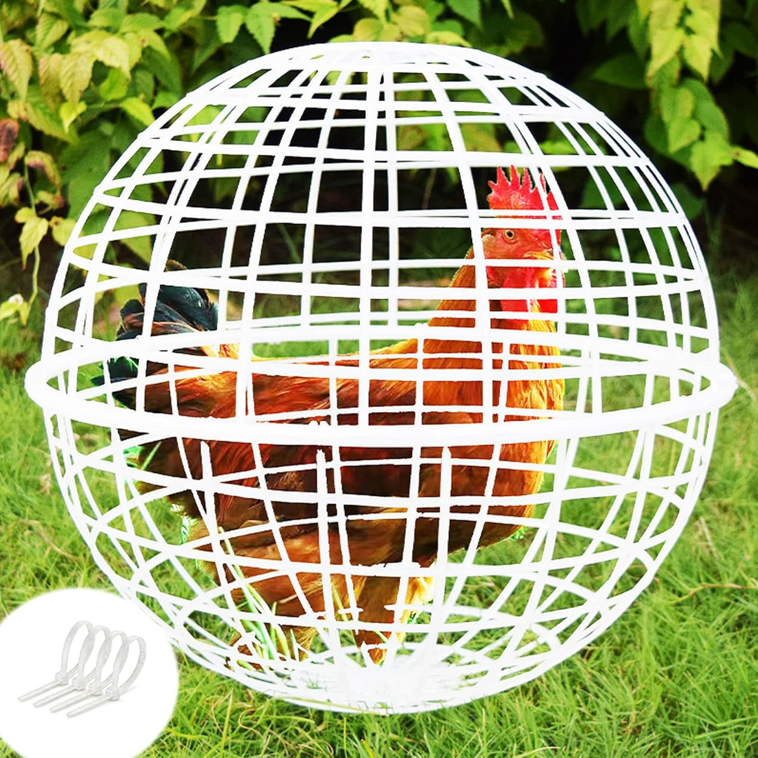 Rolling Chicken Coops, Chicken Ball Cage or Chickens Rabbits Birds ...
