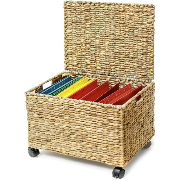 Hanging File Baskets