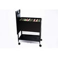 Rolling File Cabinet Heavy Duty XL Cart 2 Drawers Lockable Wheels ...