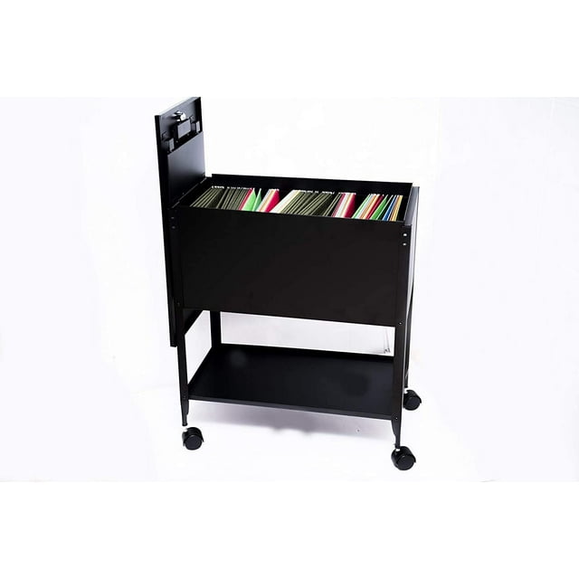 Rolling File Cabinet Heavy Duty XL Cart 2 Drawers Lockable Wheels ...