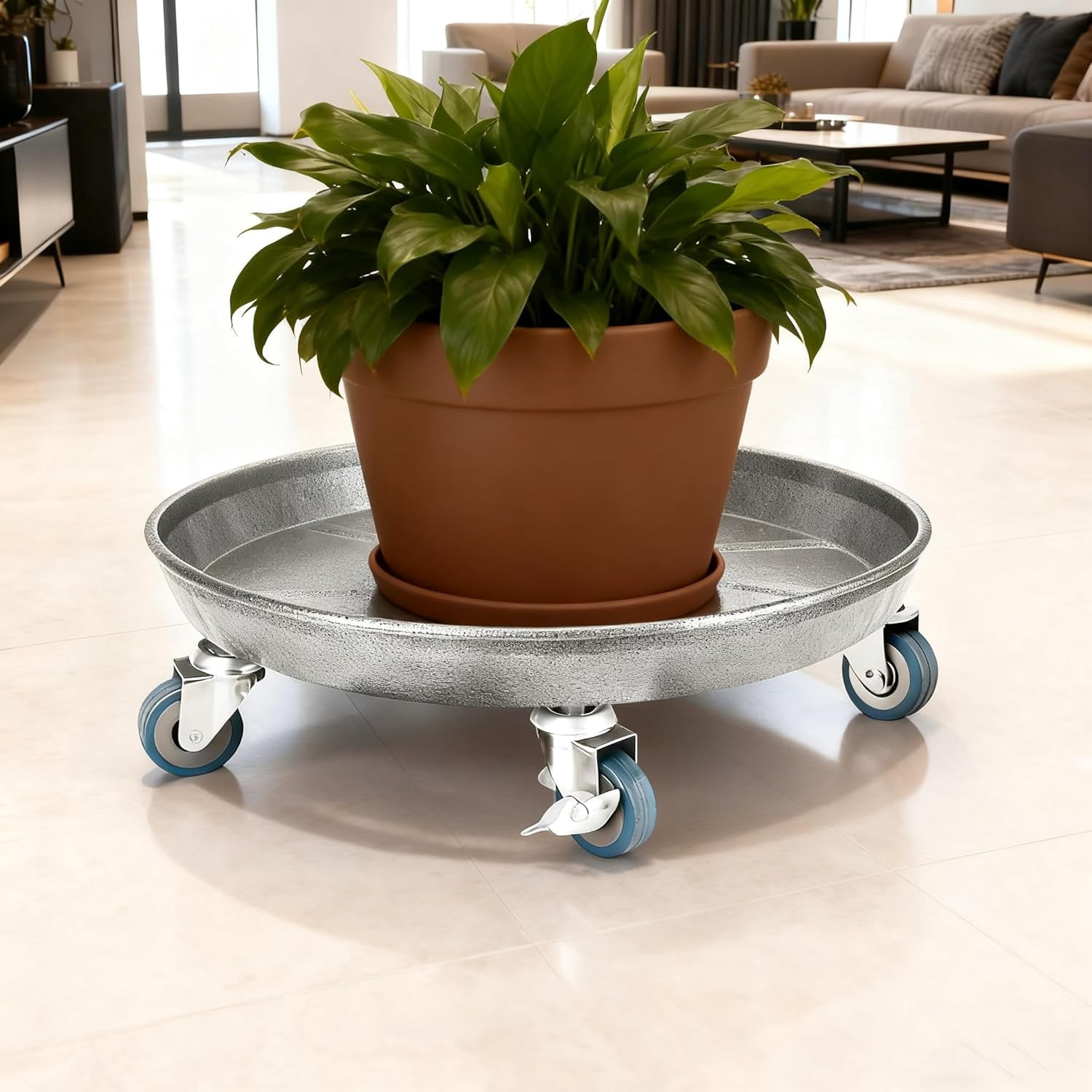 Rolling Plant Caddy Dolly with Wheels, 20" Heavy Duty Plant Stand on ...