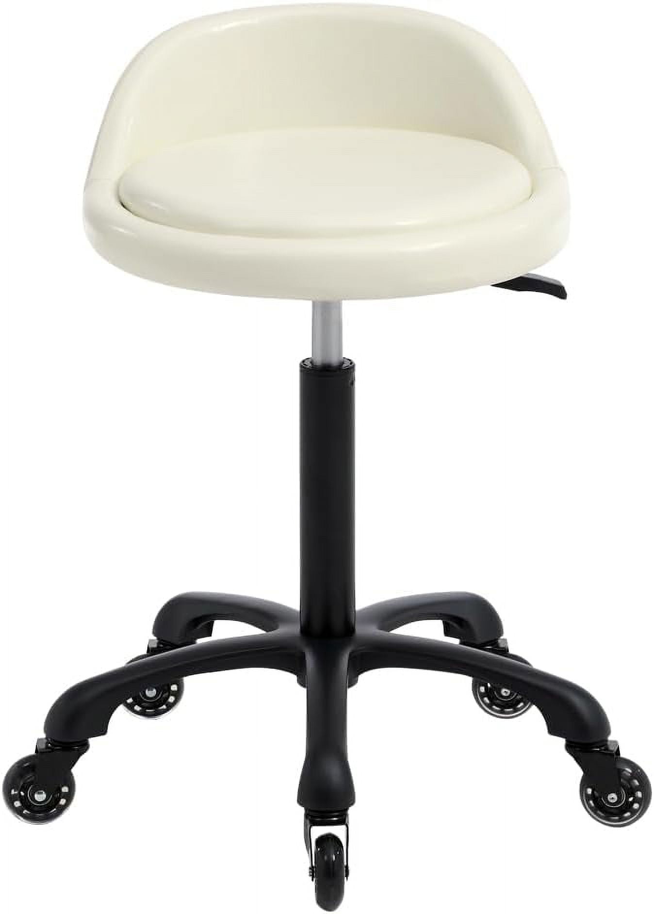Rolling Salon Stool Chair with Back Support Hydaulic Height Adjustable ...