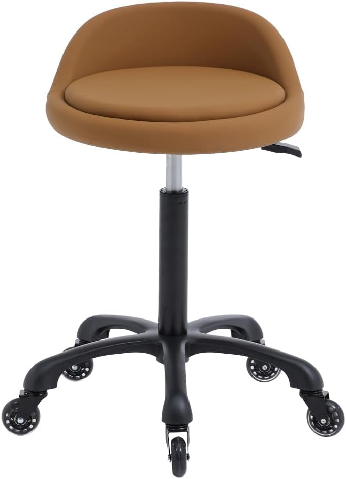 Rolling Salon Stool Chair with Back Support Hydaulic Height Adjustable ...