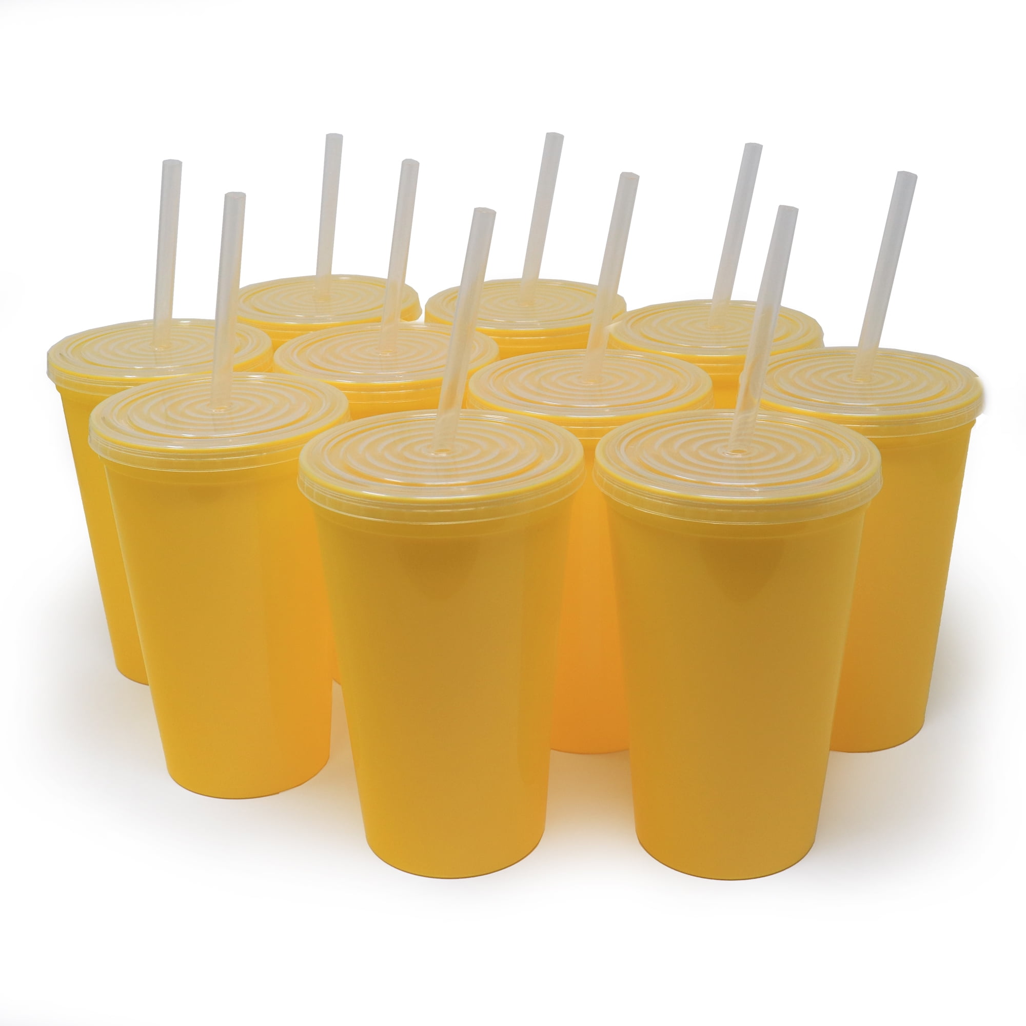 Rolling Sands 22 oz Reusable Plastic Cups with Lids, 10 Pack, USA Made ...