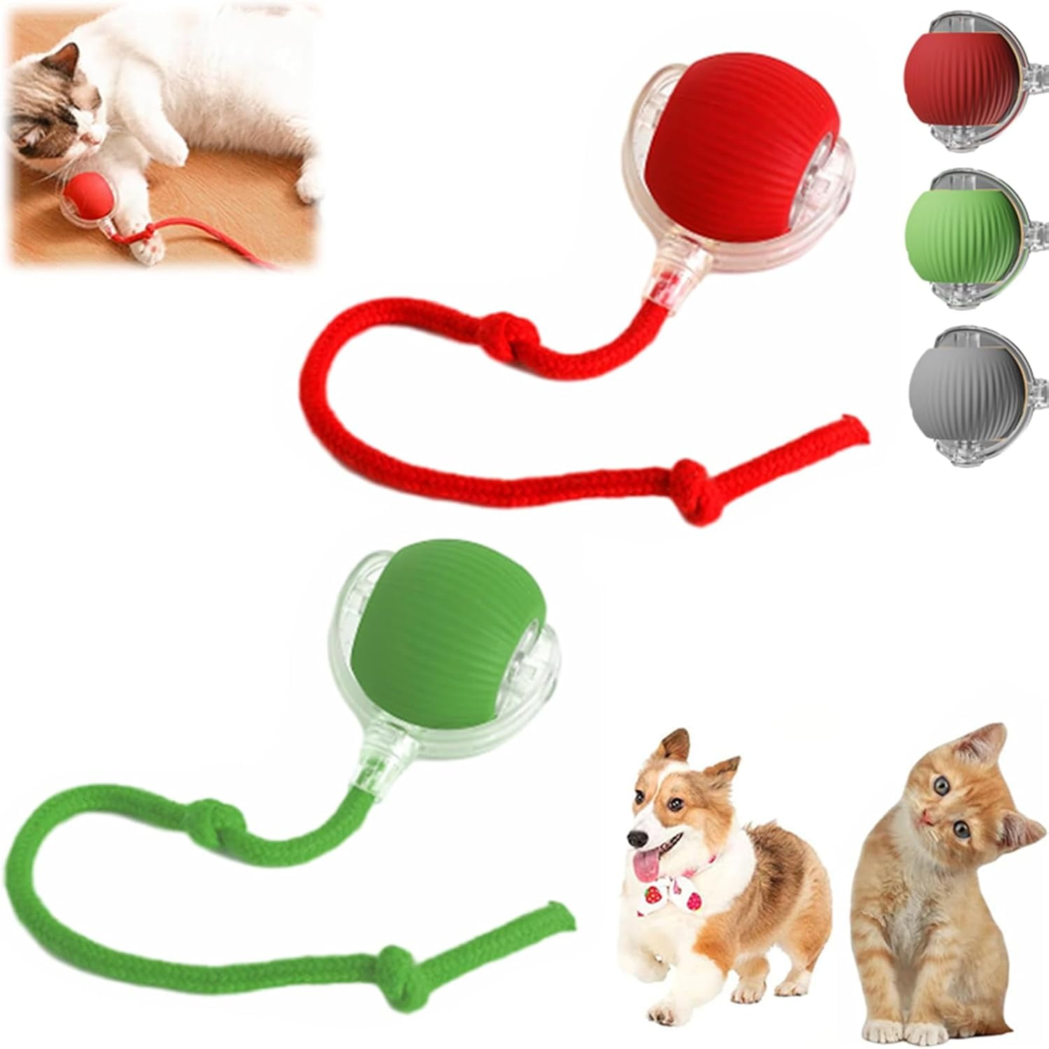 Rollraptor Interactive Pet Toy Ball, Interactive Motion Activated ...