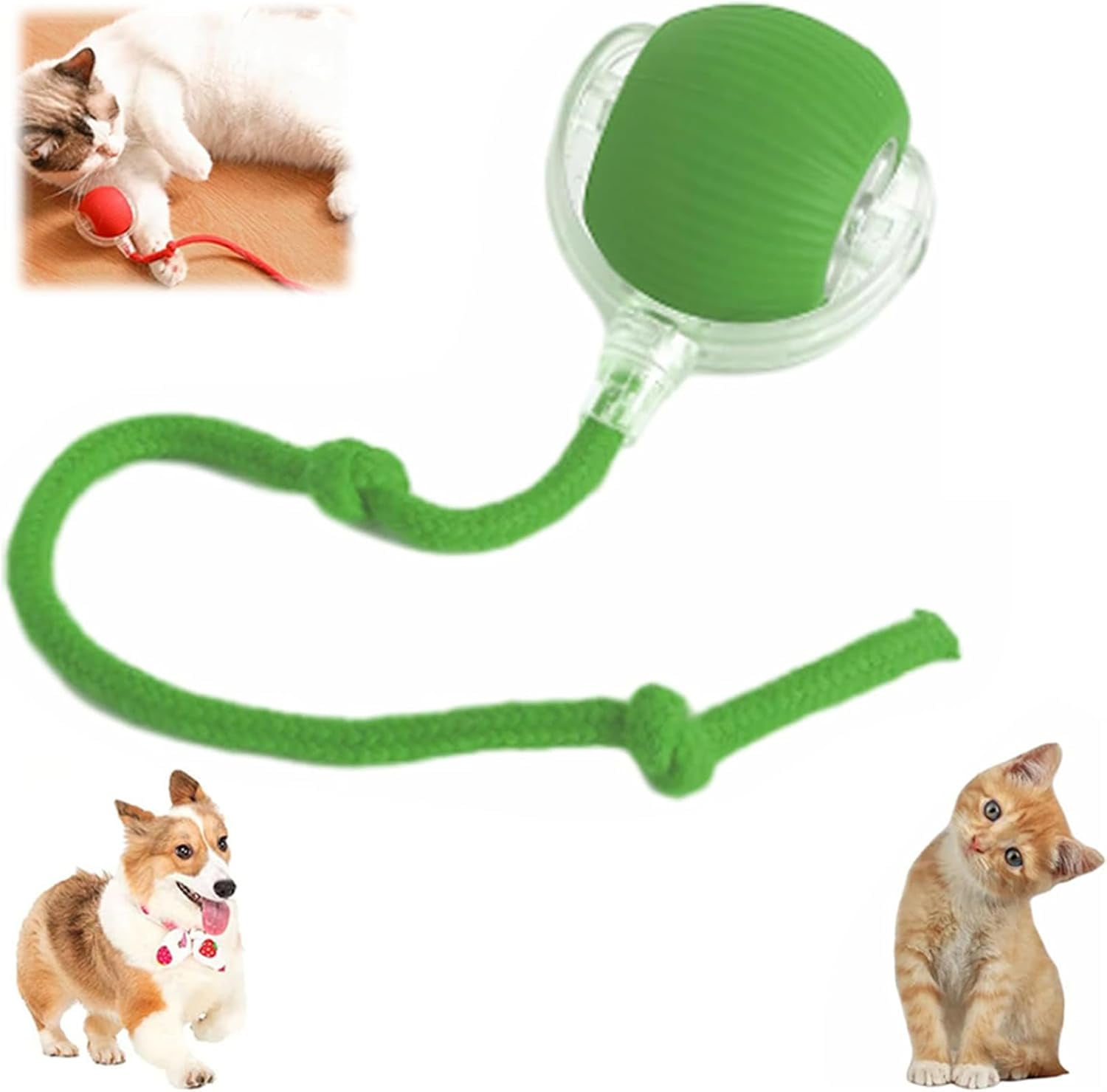 Rollraptor Interactive Pet Toy Ball, Interactive Motion Activated ...