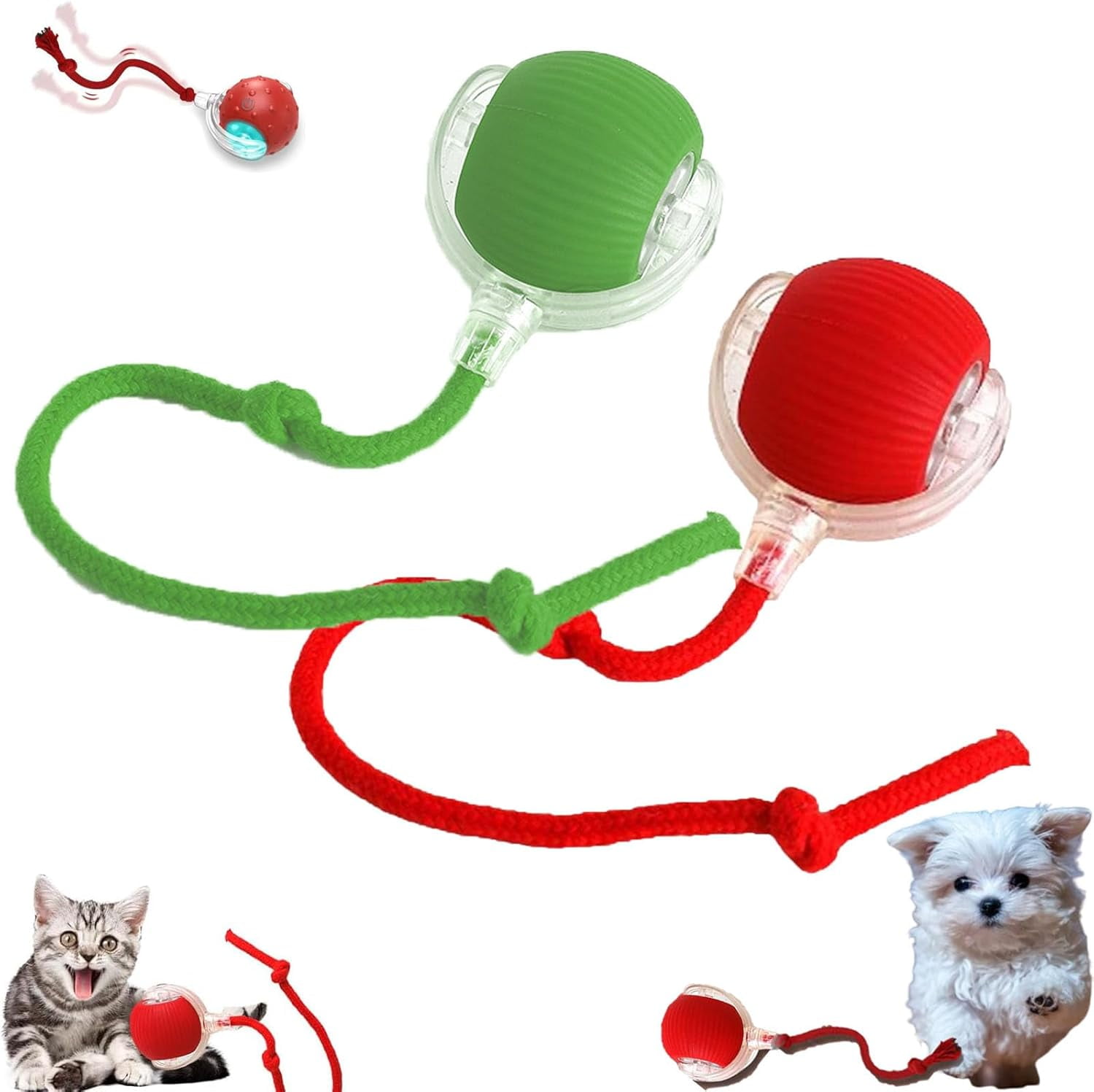 Rollraptor Interactive Pet Toy Ball, Pet Interactive Rolling Ball ...