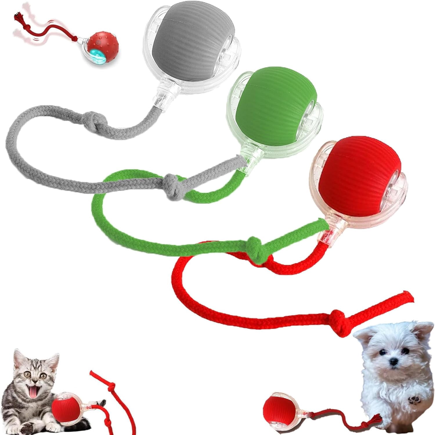 Rollraptor Interactive Pet Toy Ball, Pet Interactive Rolling Ball ...