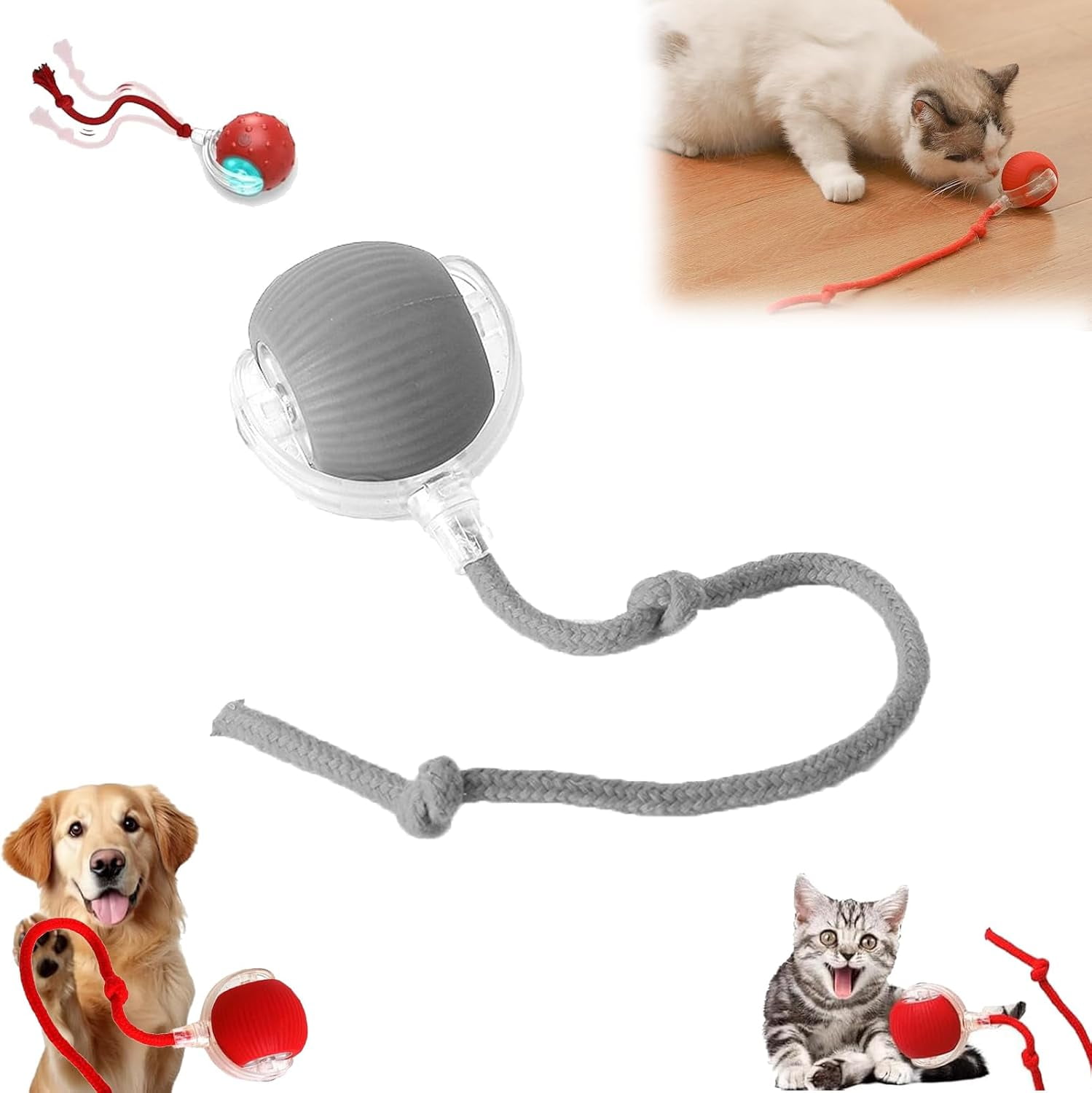 Rollraptor Interactive Pet Toy Ball, Pet Interactive Rolling Ball ...