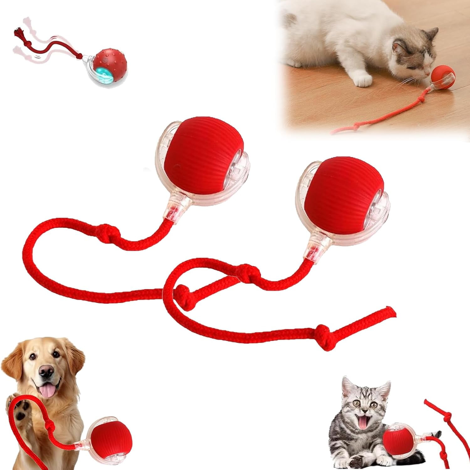 Rollraptor Interactive Pet Toy Ball, Pet Interactive Rolling Ball ...