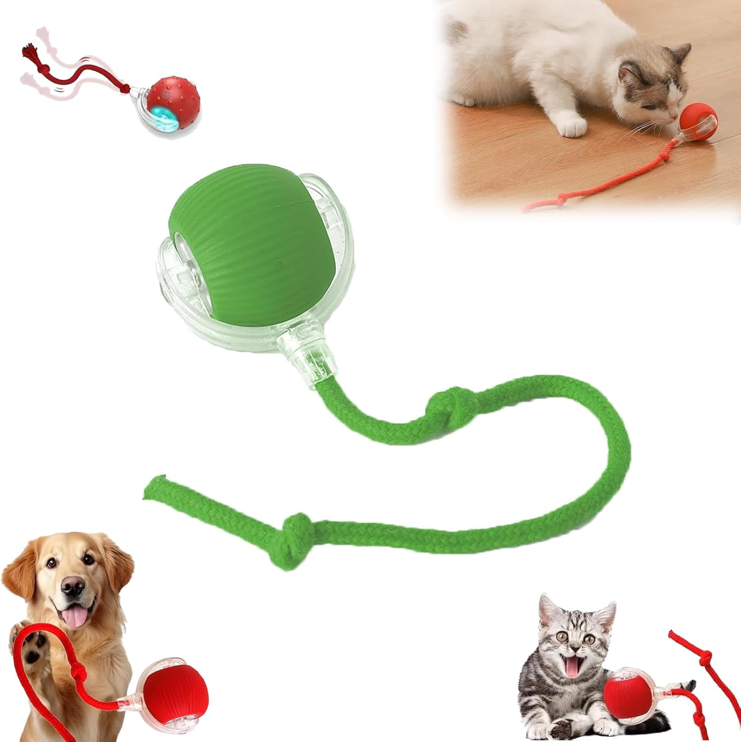 Rollraptor Interactive Pet Toy Ball, Pet Interactive Rolling Ball ...