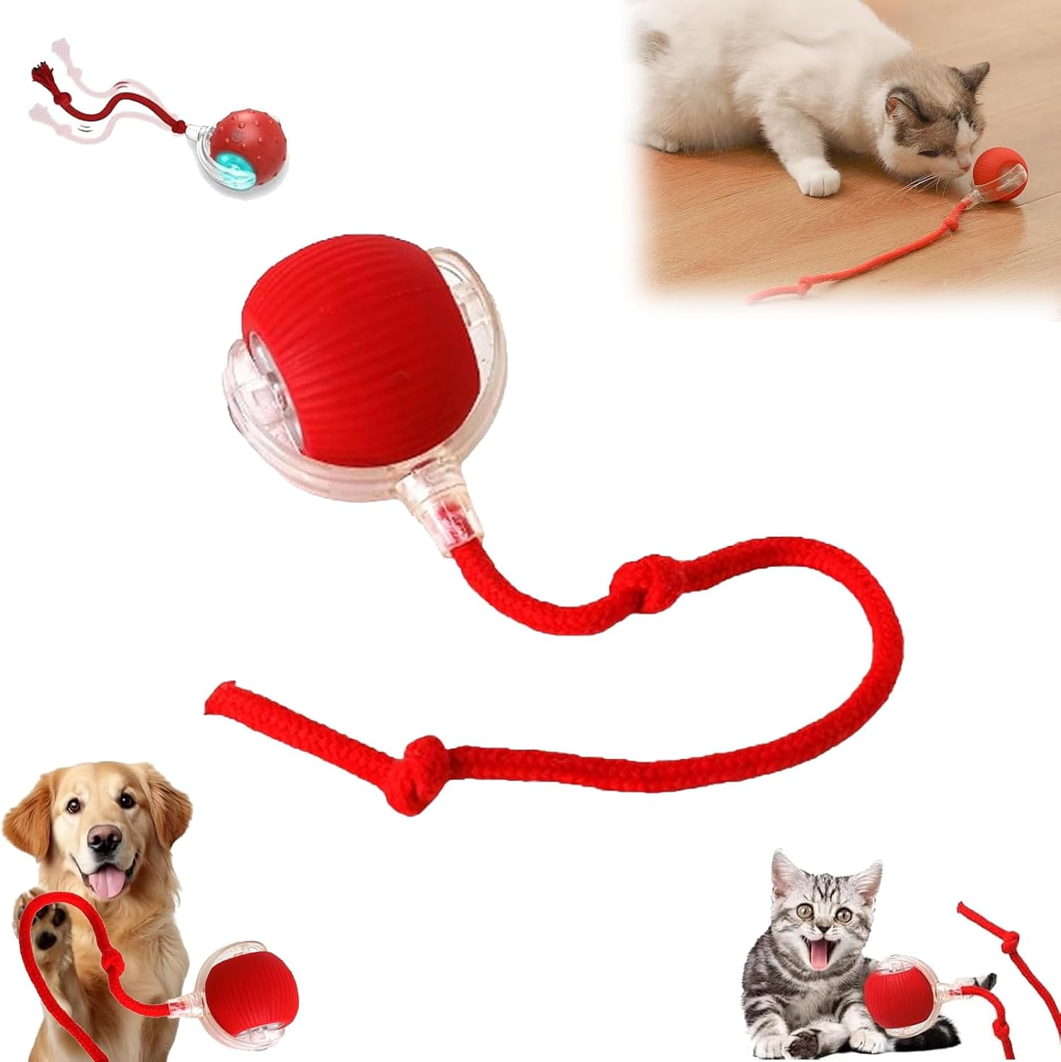 Rollraptor Interactive Pet Toy Ball, Pet Interactive Rolling Ball ...