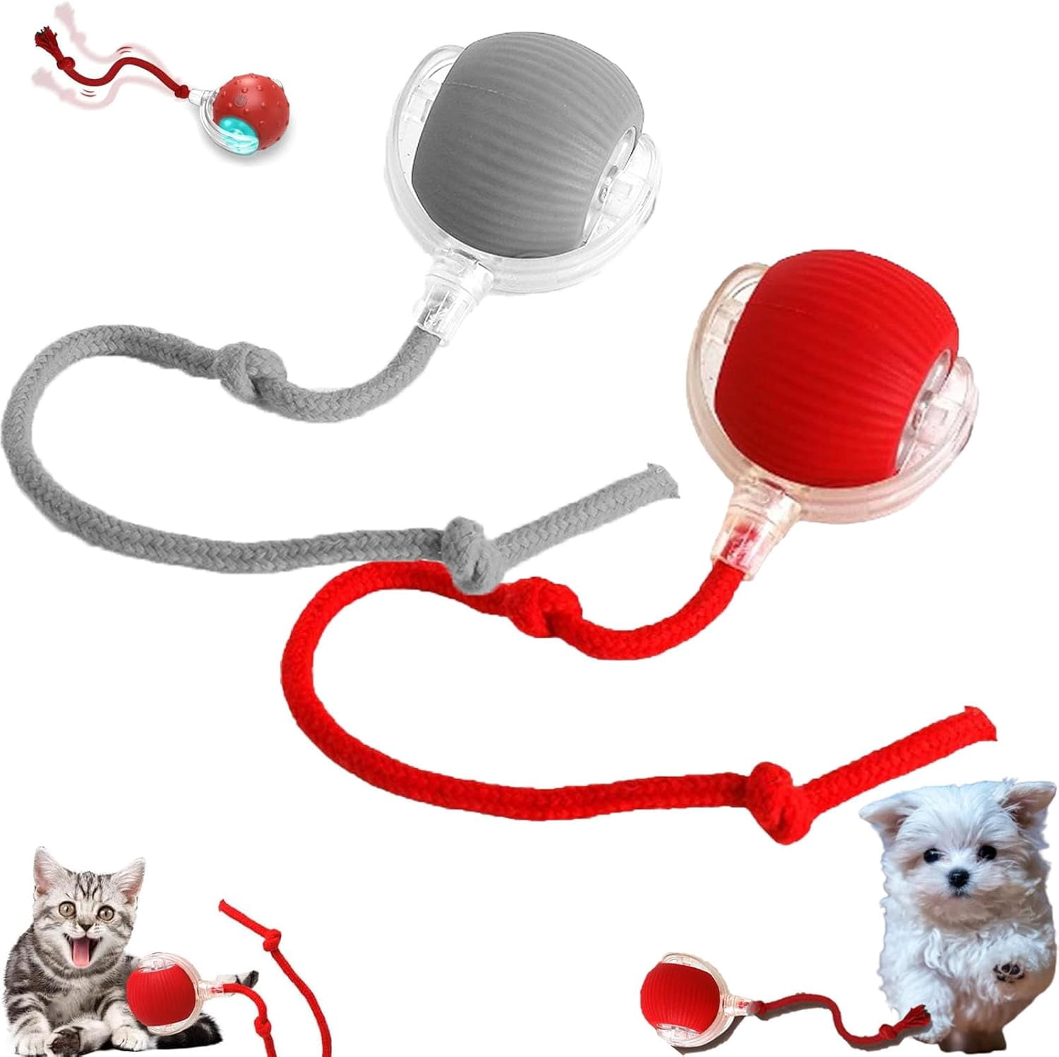 Rollraptor Interactive Pet Toy Ball, Pet Interactive Rolling Ball, Self ...