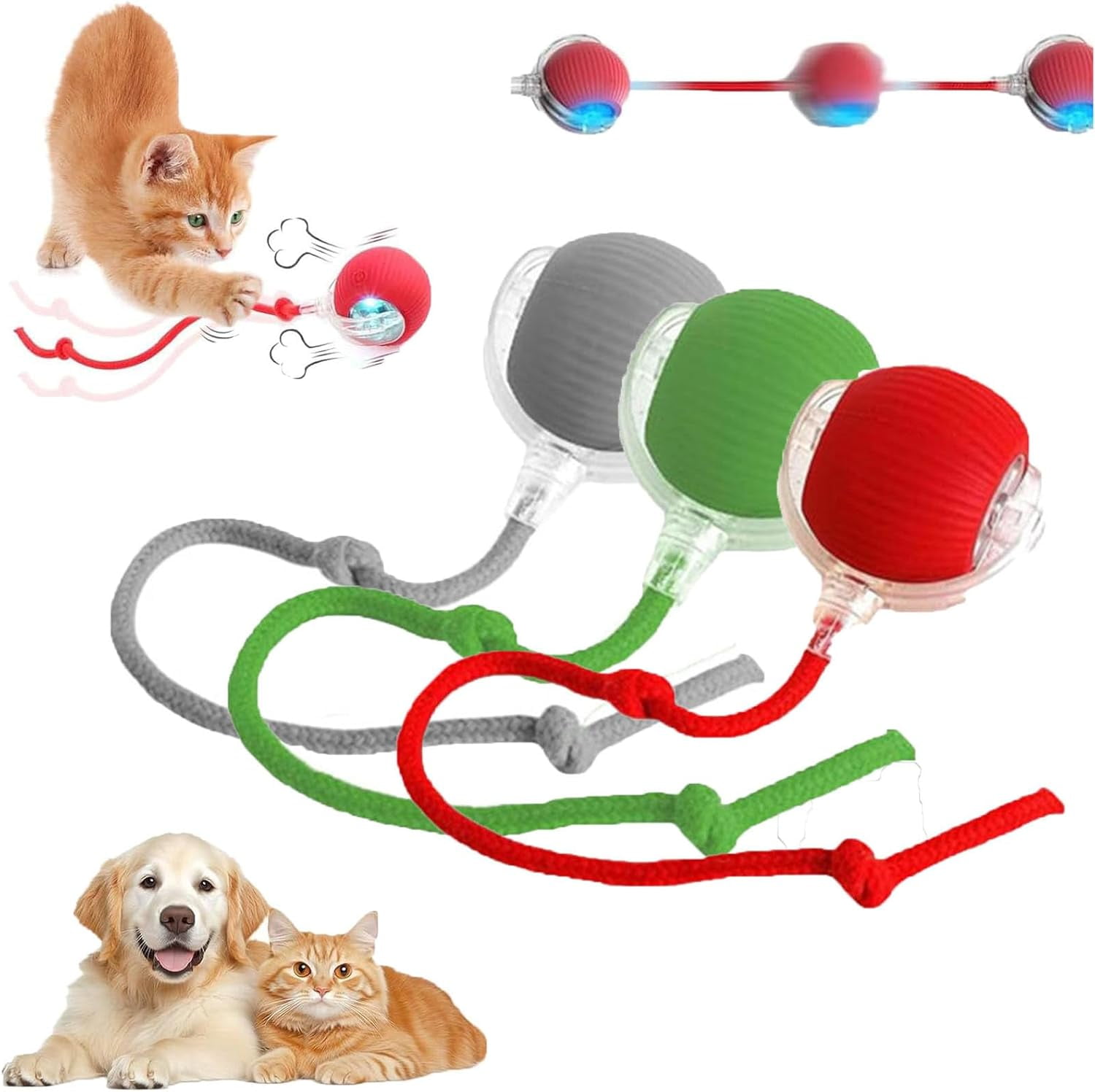 Rollraptor Interactive Pet Toy Ball, Rollraptor Automatic Dog Walker ...