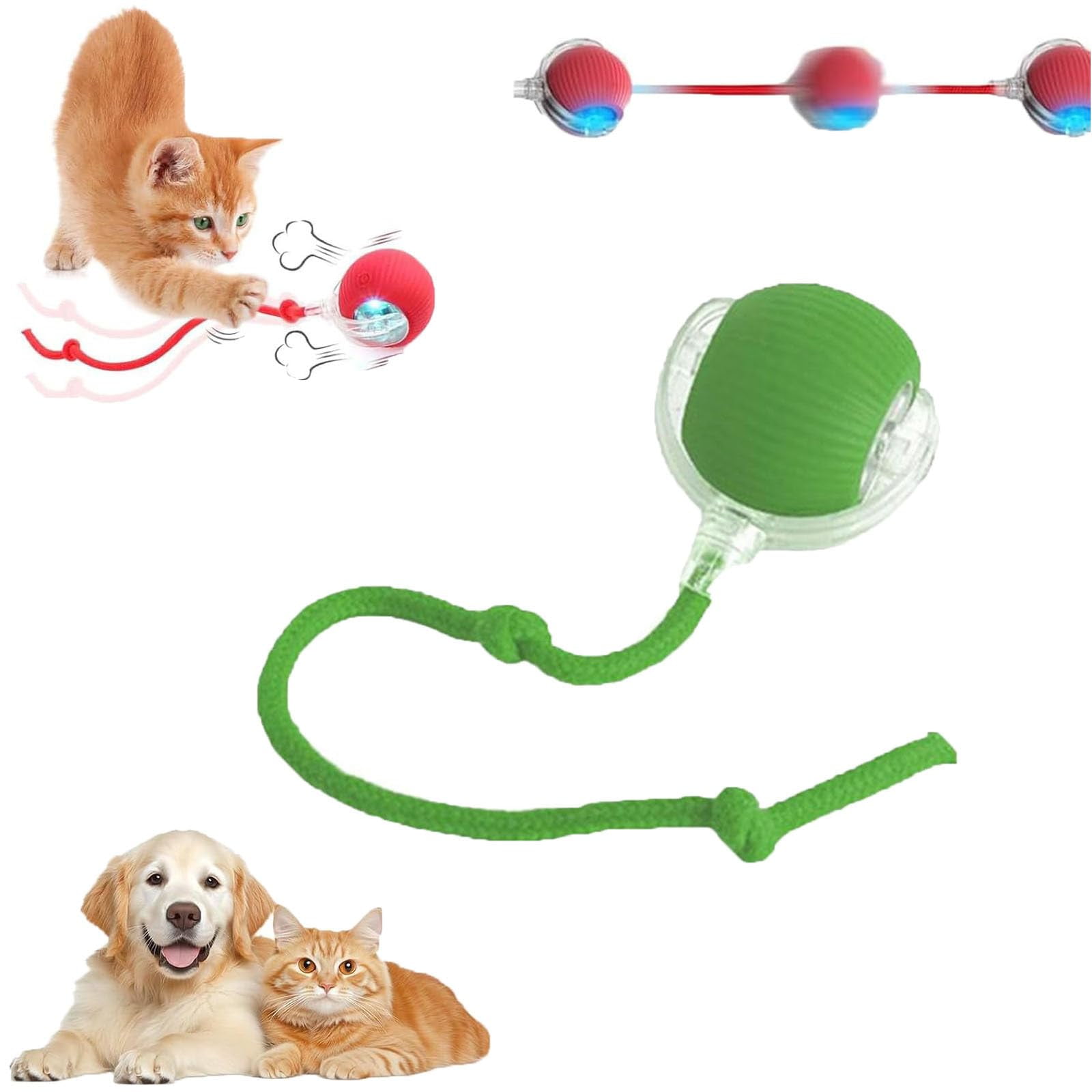 Rollraptor Interactive Pet Toy Ball, Rollraptor Automatic Dog Walker ...
