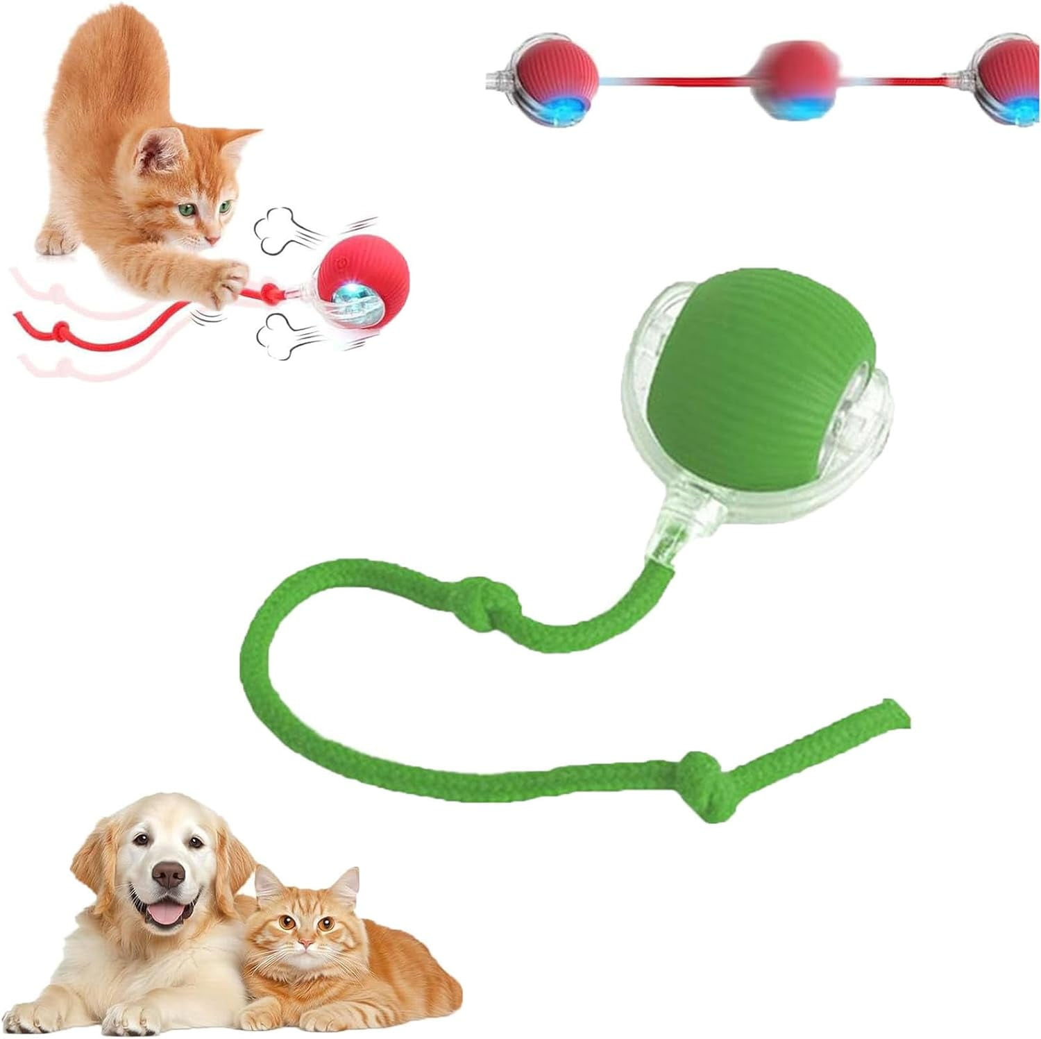 Rollraptor Interactive Pet Toy Ball, Rollraptor Automatic Dog Walker ...