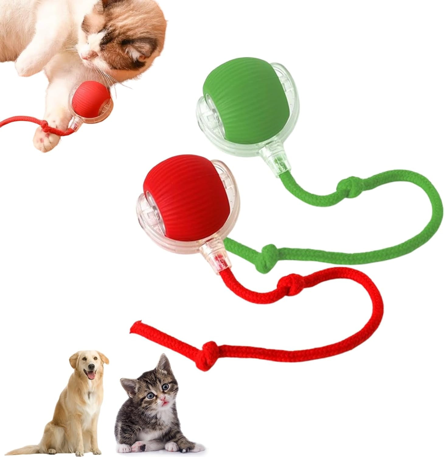 Rollraptor Interactive Pet Toy Ball, Rollraptor Automatic Dog Walker ...