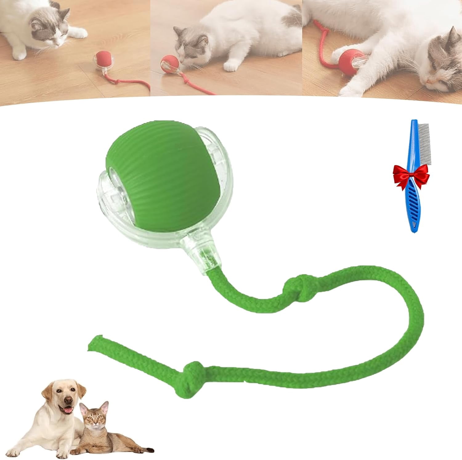 Rollraptor Interactive Pet Toy Ball, Rollraptor Interactive Pet Toy ...