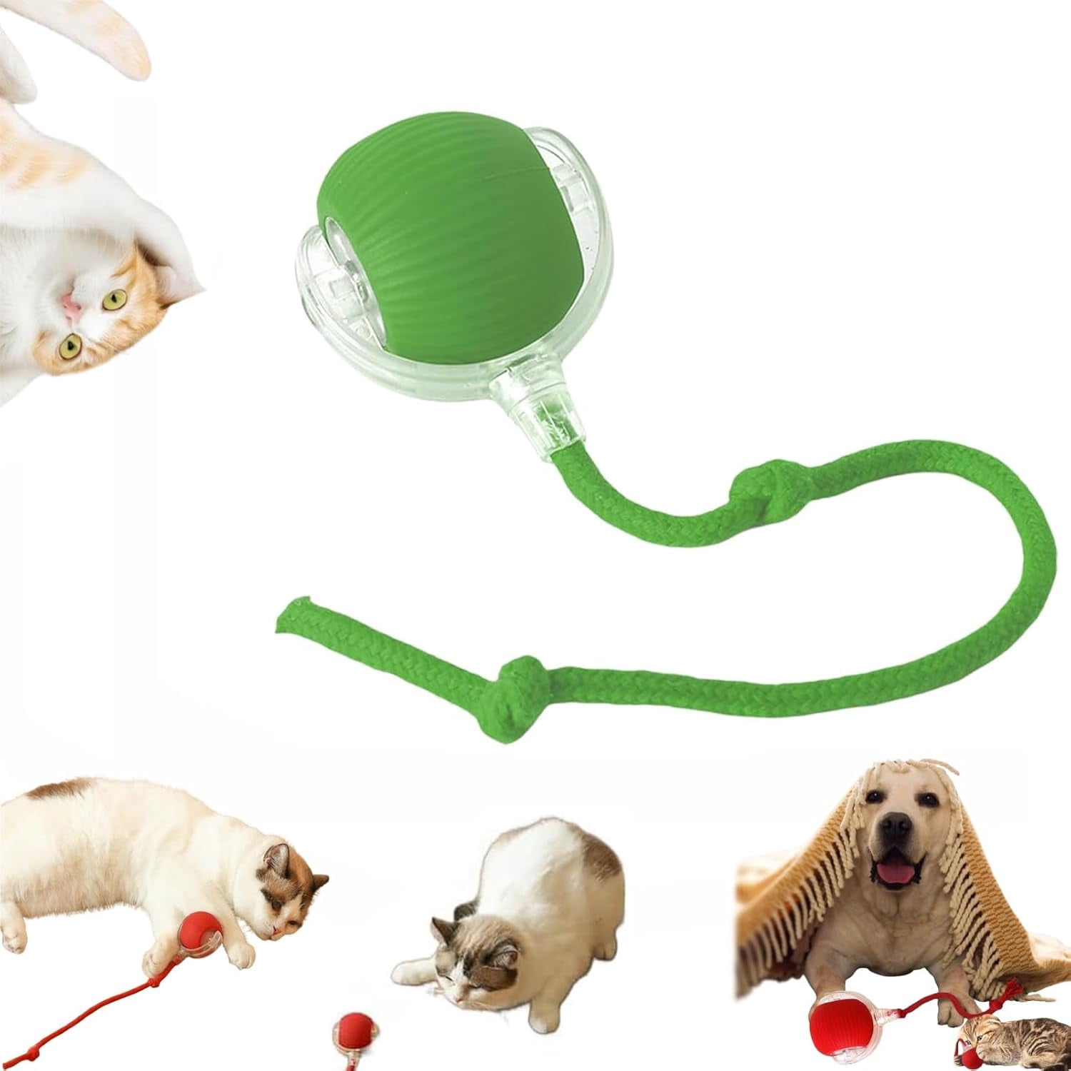 Rollraptor - Rollraptor Interactive Pet Toy Ball, The Mellow Dog ...