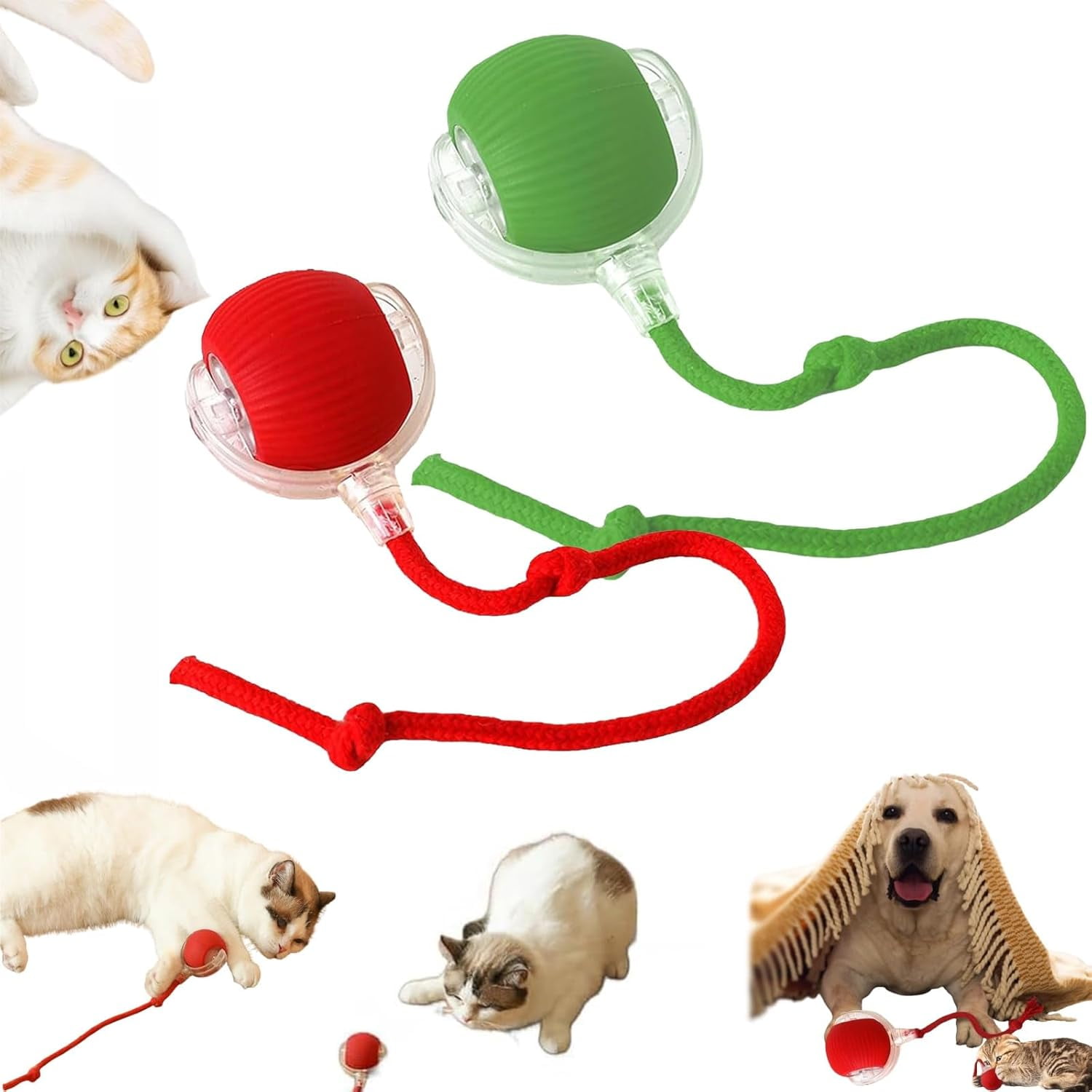 Rollraptor - Rollraptor Interactive Pet Toy Ball, The Mellow Dog ...