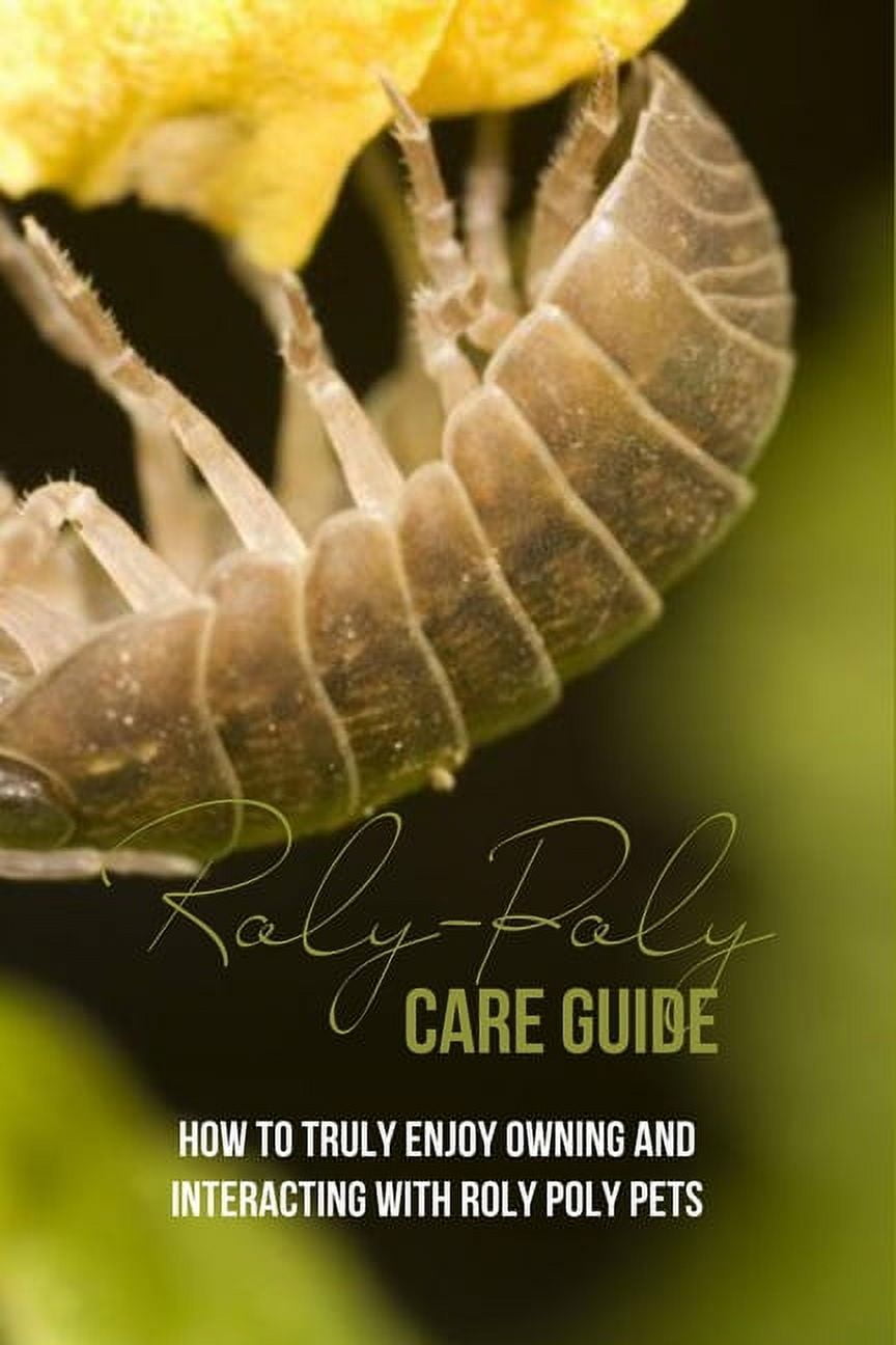Roly-Poly Care Guide : How To Truly Enjoy Owning And Interacting With ...