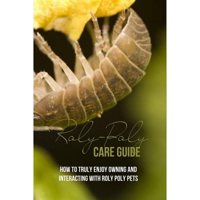 Roly-Poly Care Guide : How To Truly Enjoy Owning And Interacting With ...