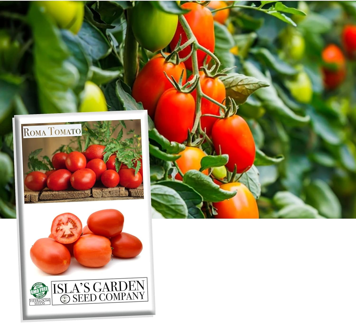 Roma Heirloom Tomato Seeds, 300+ Seeds Per Packet, (Isla's Garden Seeds ...