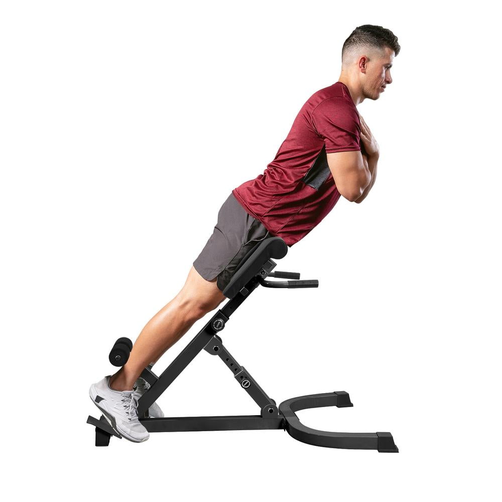 Roman Chair Back Extension, Incline Bench Adjustable, Multi-Functional ...