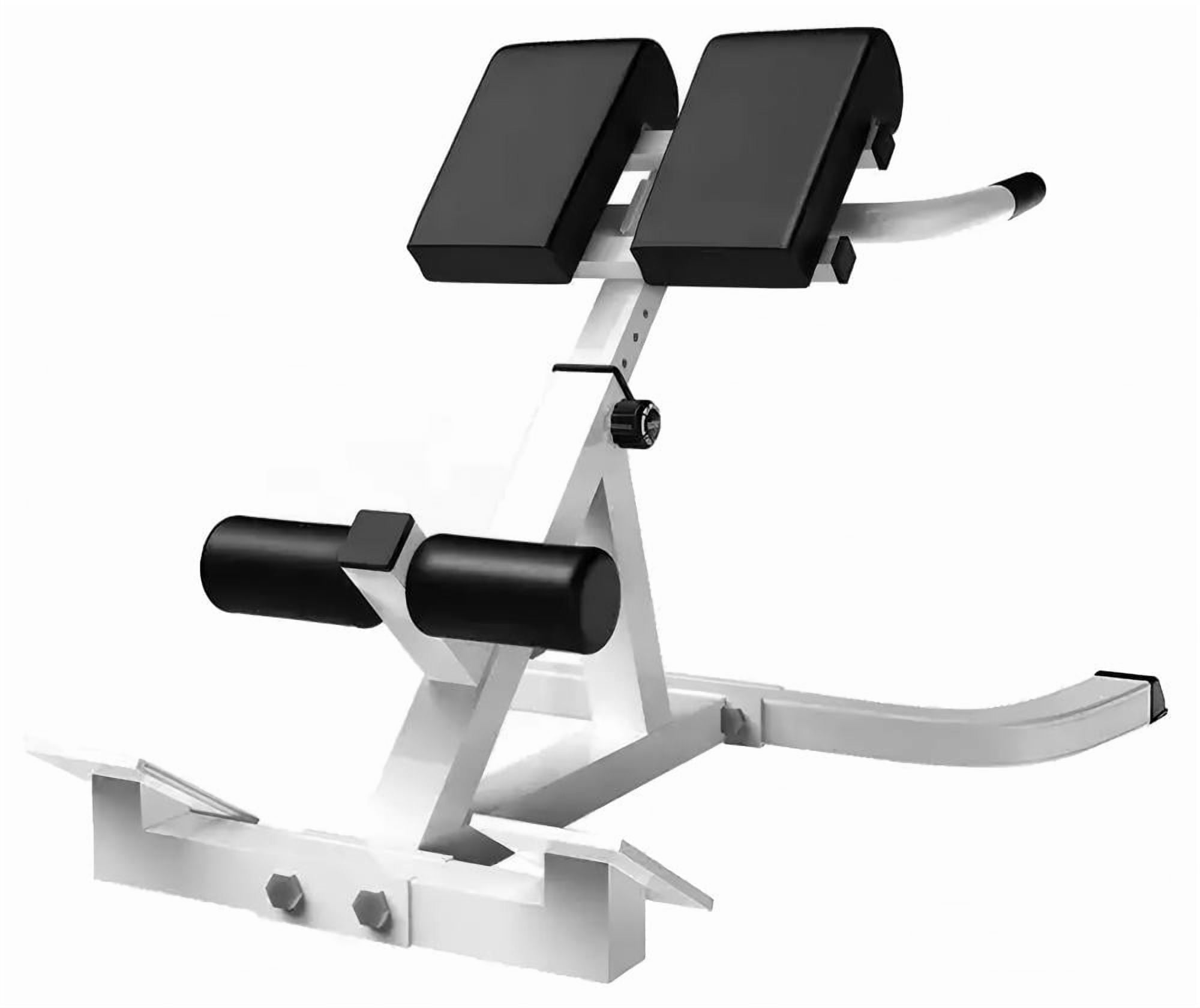 TOPTENG Roman Chair Back Extension Machine - Lower Back Hyperextension ...